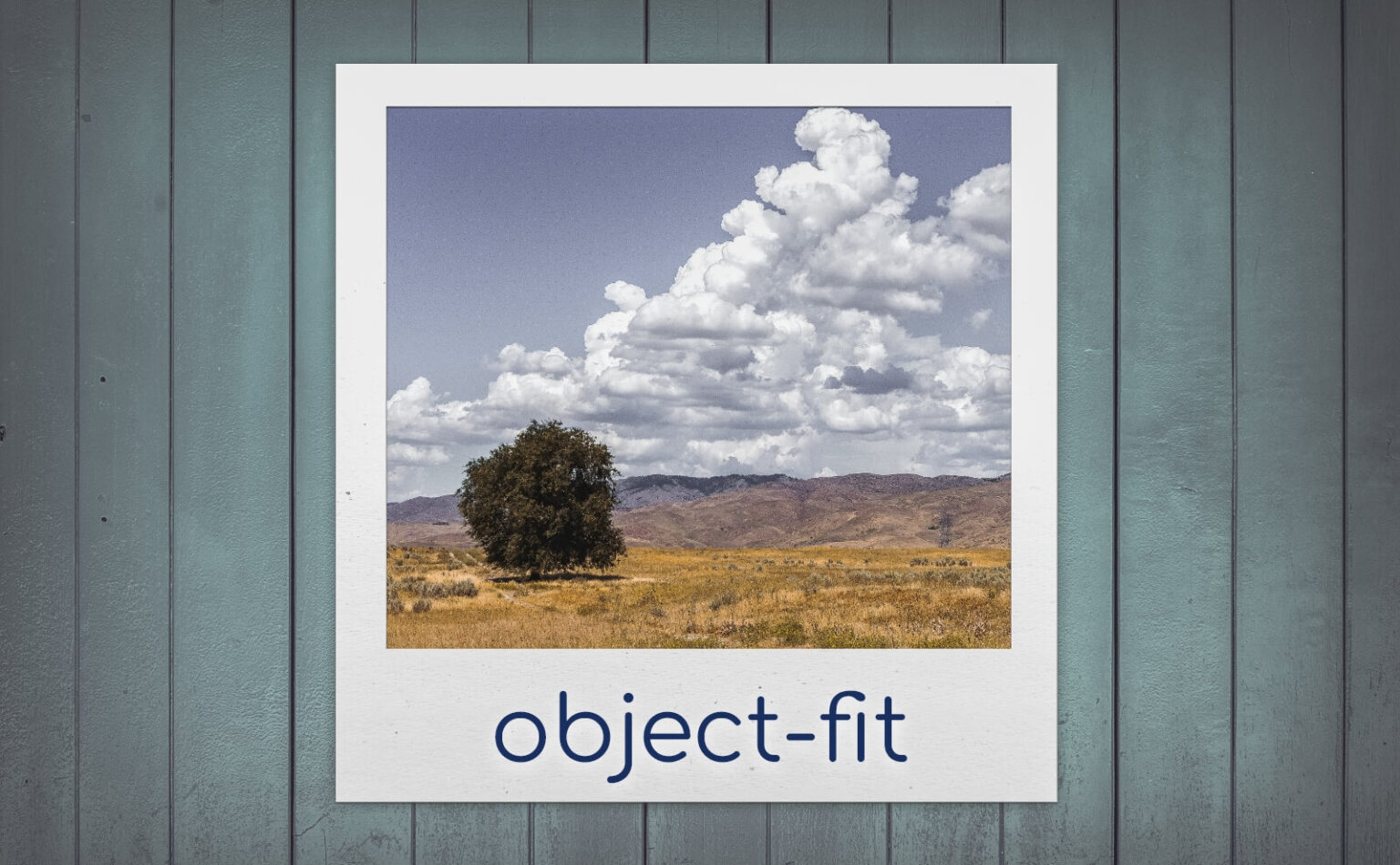 【CSS】object-fitで画像の中央配置もトリミングも自由自在 | Code Island